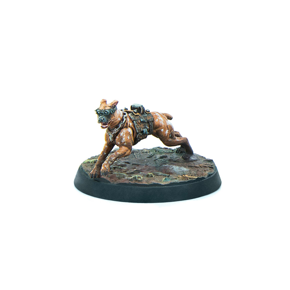 Fallout: Wasteland Warfare - Raiders - Pack Top Dogs – Modiphius ...